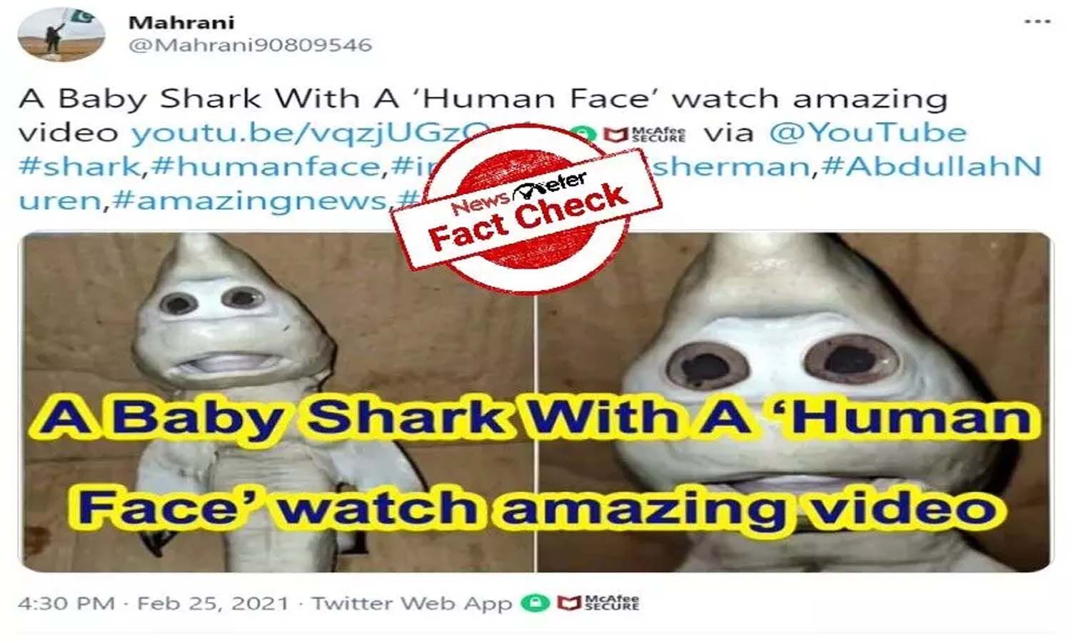 Fact Check : మనిషి ముఖం పోలిన షార్క్ జాలర్లకు చిక్కిందా..? | baby shark ...